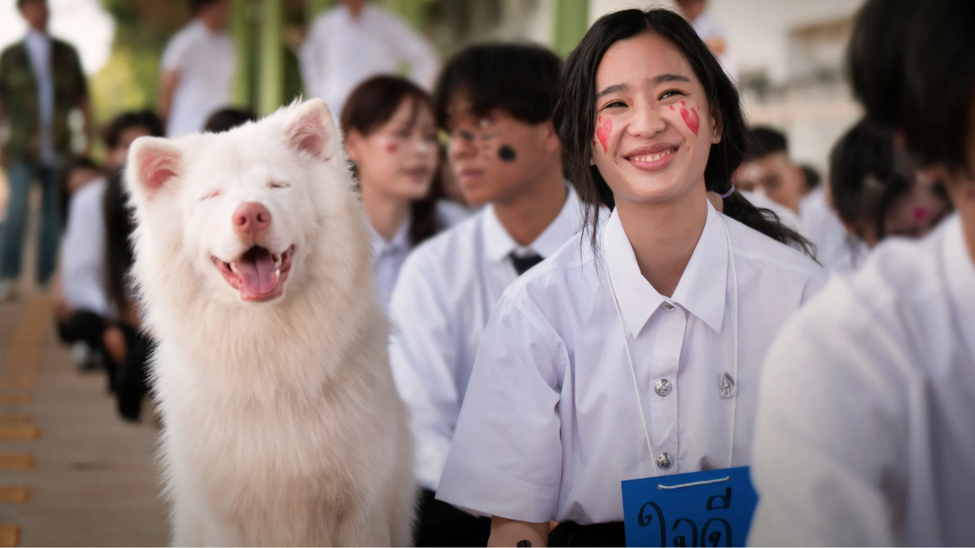 “Tạm Biệt Gohan” - Trailer, lịch chiếu và review thực tế